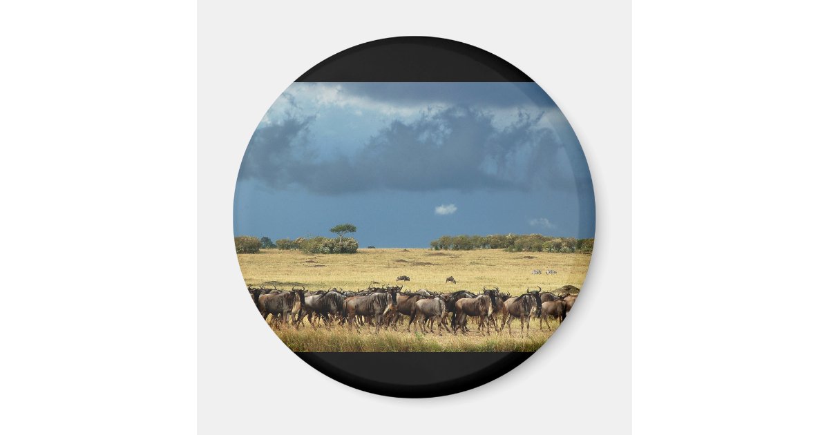 Blue Wildebeest (GNU) Masai Mara Kenya magnets | Zazzle