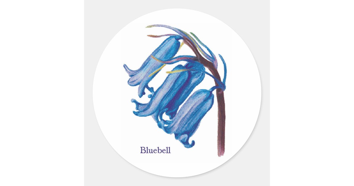 Bluebell Classic Round Sticker | Zazzle