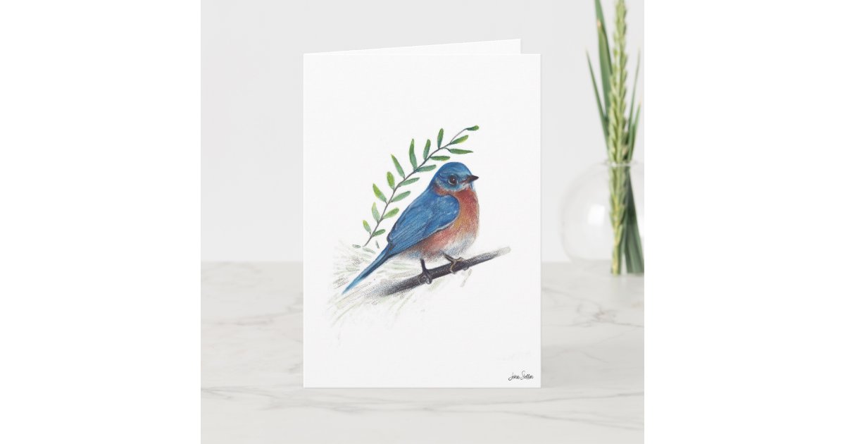 Bluebird Bird Art Card | Zazzle
