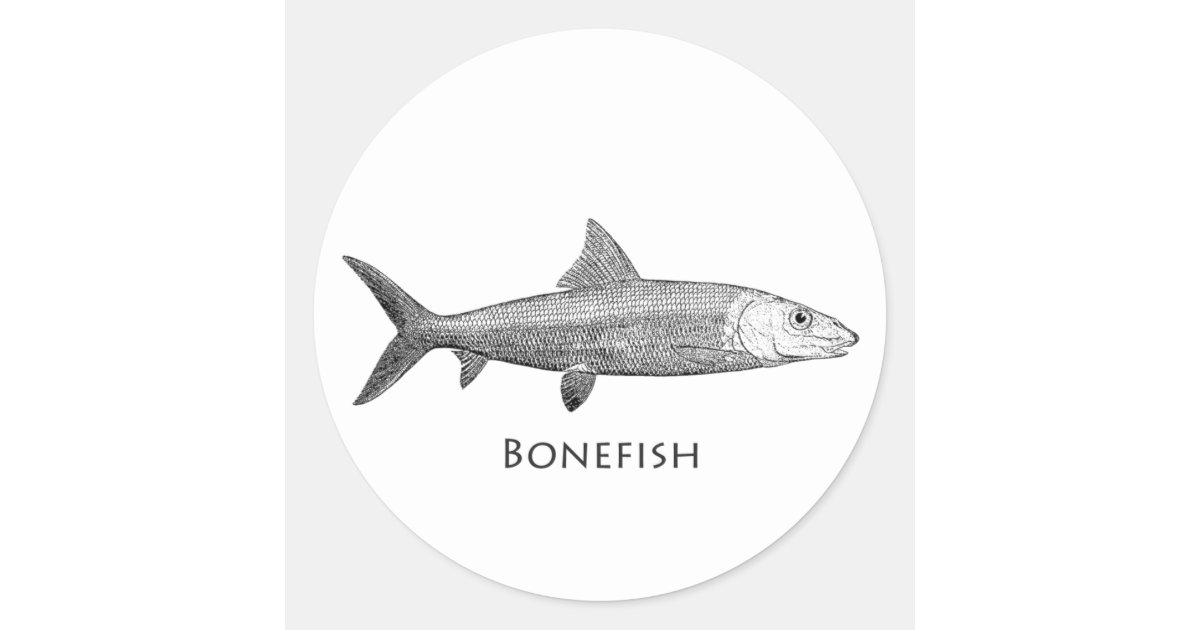 Bonefish Logo Classic Round Sticker | Zazzle
