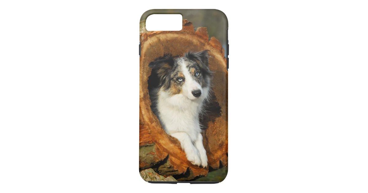 Border Collie Blue Merle Dog, Cell Phonecase Case-Mate iPhone Case | Zazzle