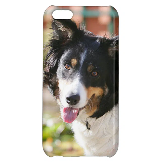 Border Collie Panting 1 iPhone Case | Zazzle