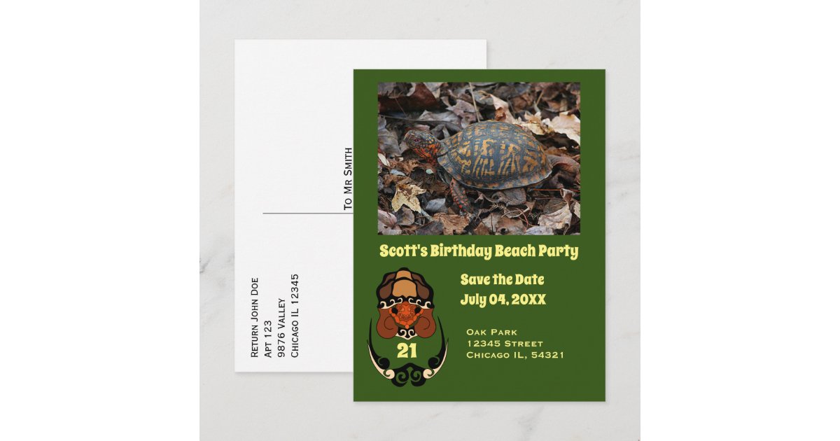 Box Turtle Cartoon Birthday Party Photo Invitation Postcard | Zazzle