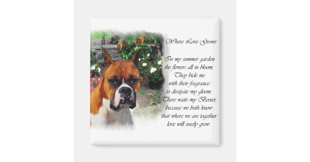 Boxer Dog Art Gifts Magnet | Zazzle