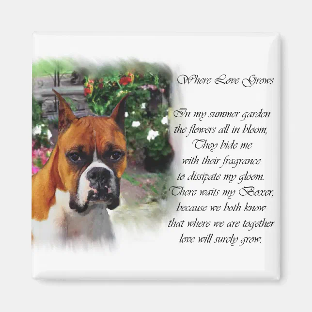 Boxer Dog Art Gifts Magnet | Zazzle