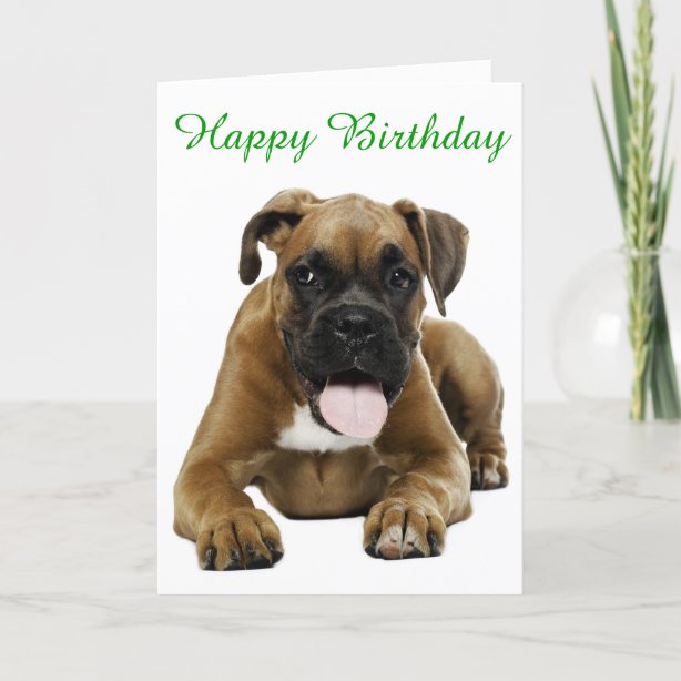 Boxer Dog Cards | Zazzle UK