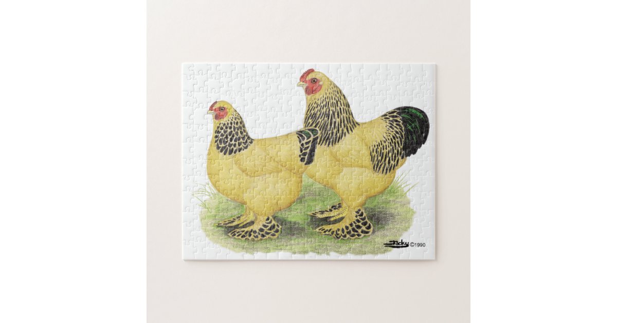 Brahma Buff Pair Jigsaw Puzzle | Zazzle