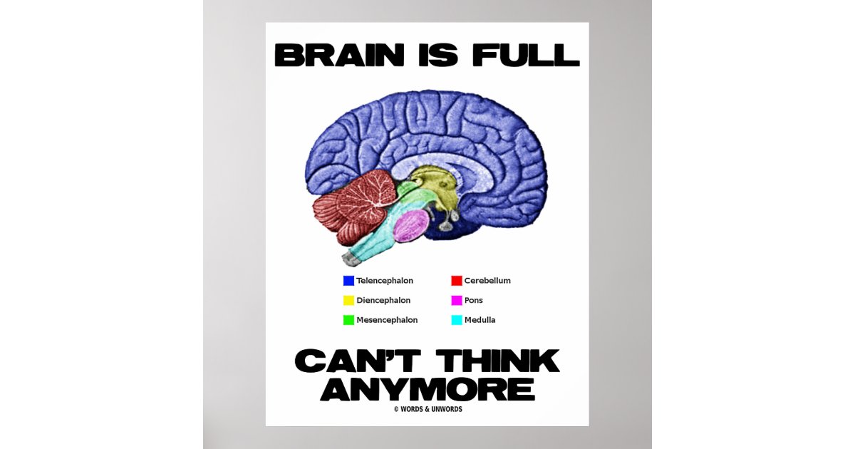 Brain Is Full Can't Think Anymore (Brain Anatomy) Poster | Zazzle