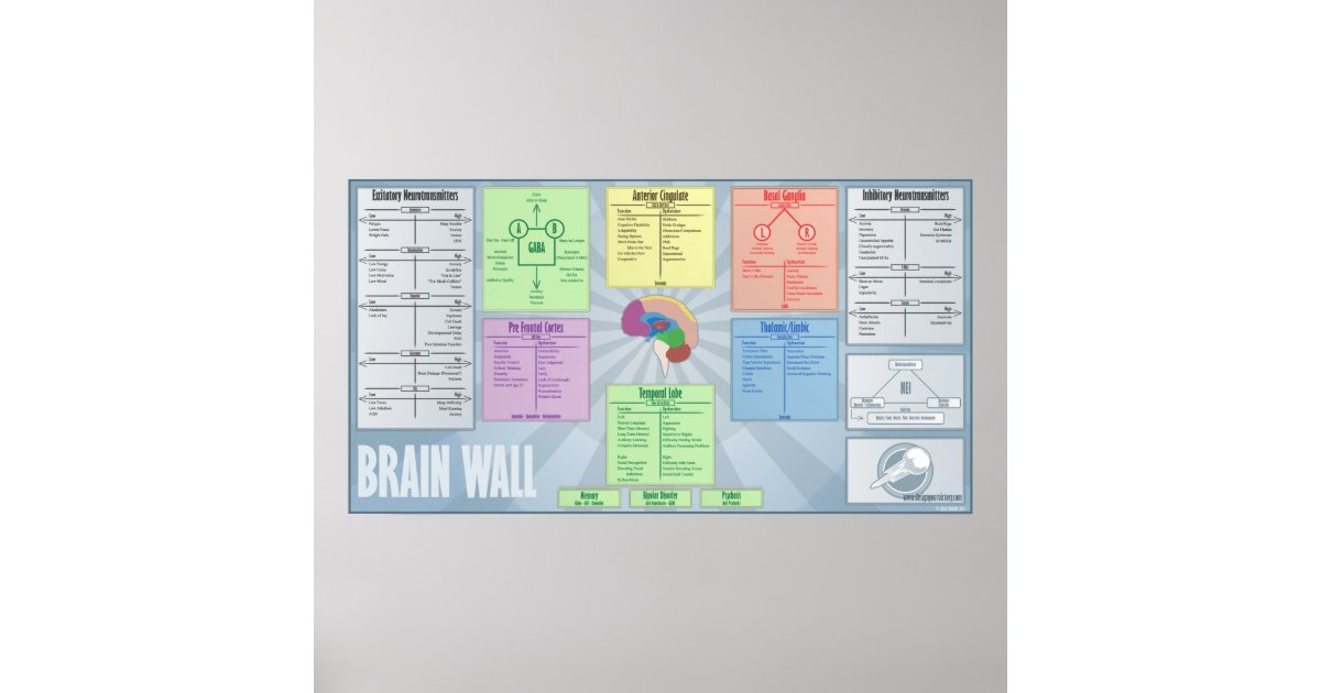 Brain Wall Poster | Zazzle