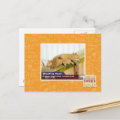 Breaking News Postcard | Zazzle