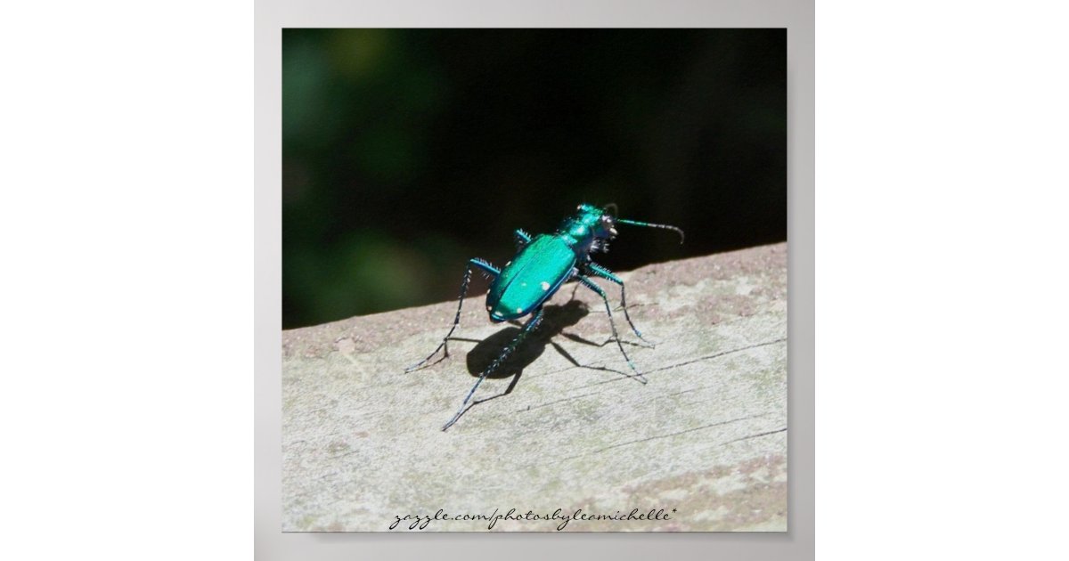 Bright Green Bug Poster | Zazzle