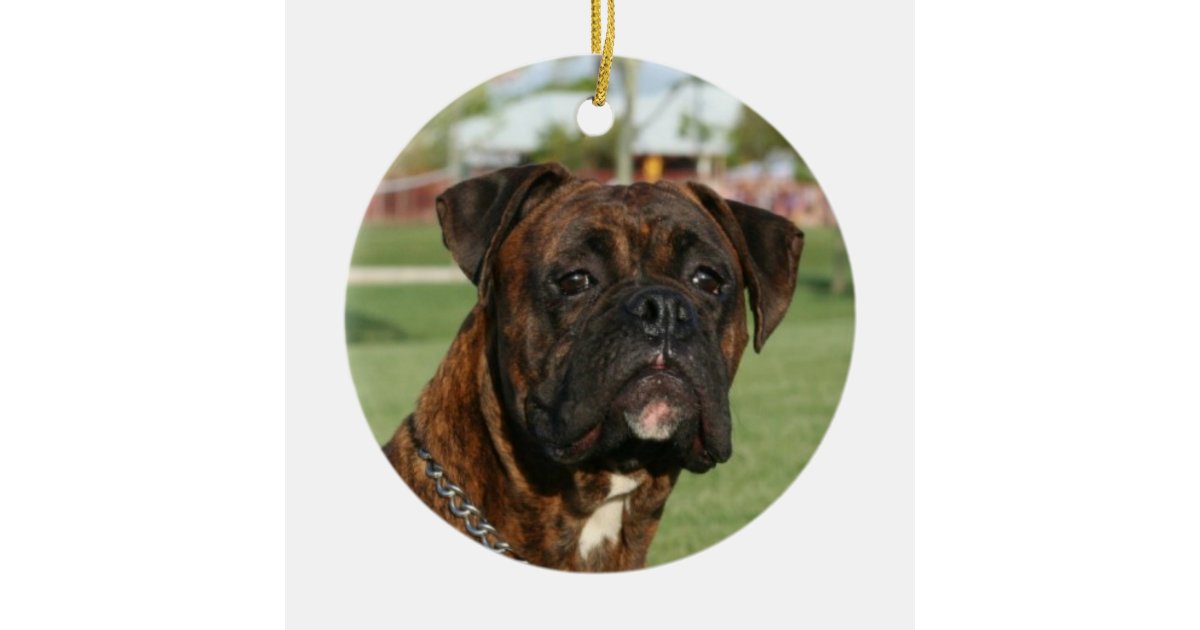 Brindle boxer ornament | Zazzle