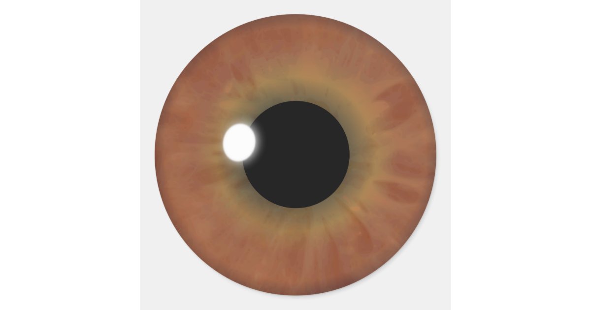 Brown Eye Iris Cool Eyeball Custom Round Stickers | Zazzle