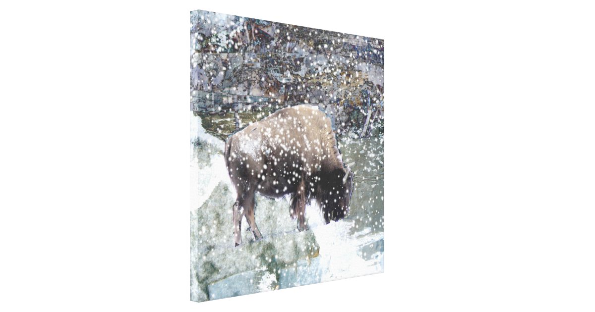 Buffalo in Snow Storm Wrapped Canvas Print | Zazzle