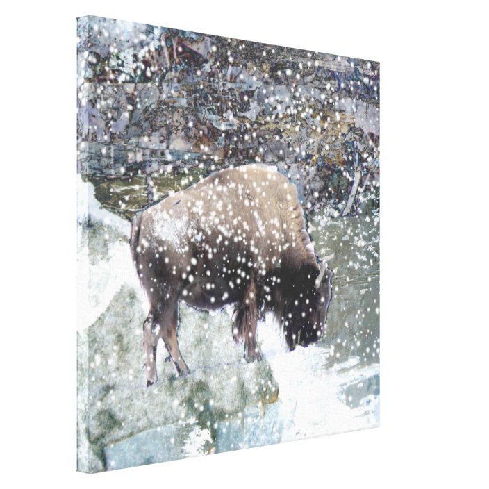 Buffalo in Snow Storm Wrapped Canvas Print | Zazzle