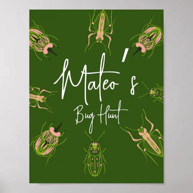 Bug Hunt Insect Birthday Hand Drawn Party Poster | Zazzle