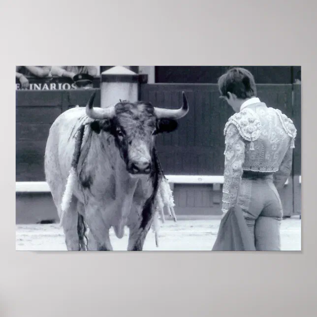 Bullfight stand off poster | Zazzle