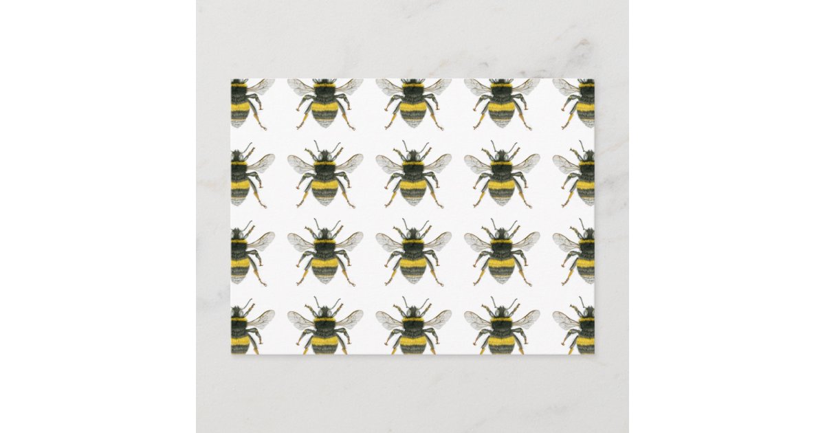 Bumble Bee Pattern Postcard | Zazzle