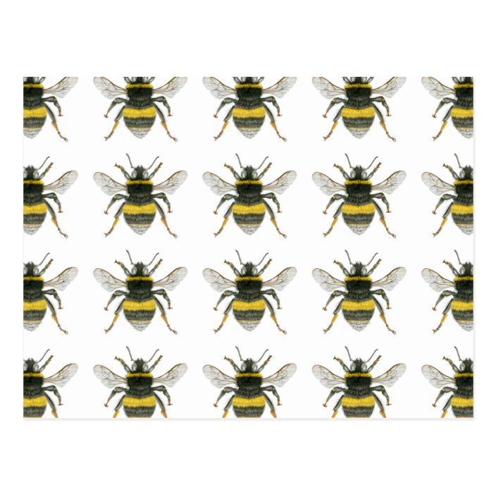 Bumble Bee Pattern Postcard | Zazzle.co.uk