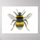 Bumble Bee Poster Print | Zazzle