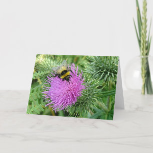 Thistle Cards | Zazzle UK