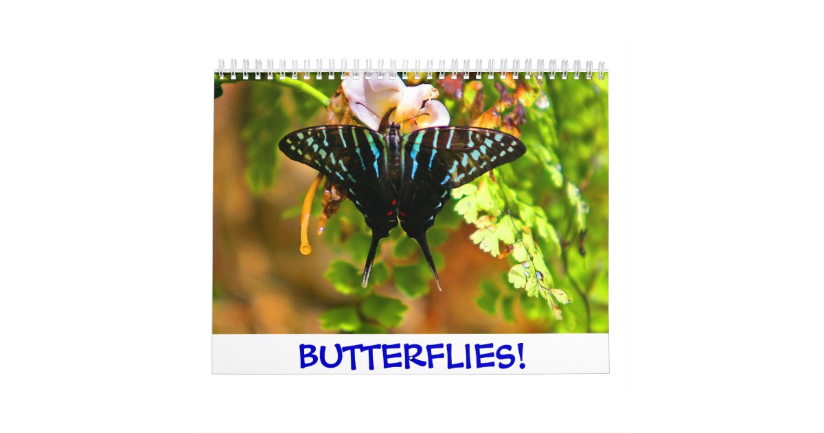 Butterflies! Calendar | Zazzle