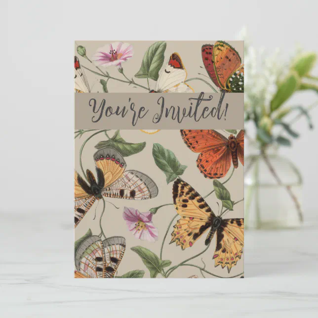 Butterfly Moth Nature Collection Drawing Invitation | Zazzle