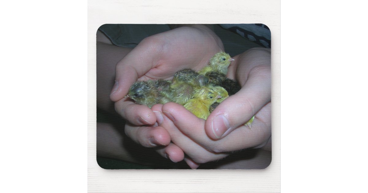 button quail mousepad | Zazzle