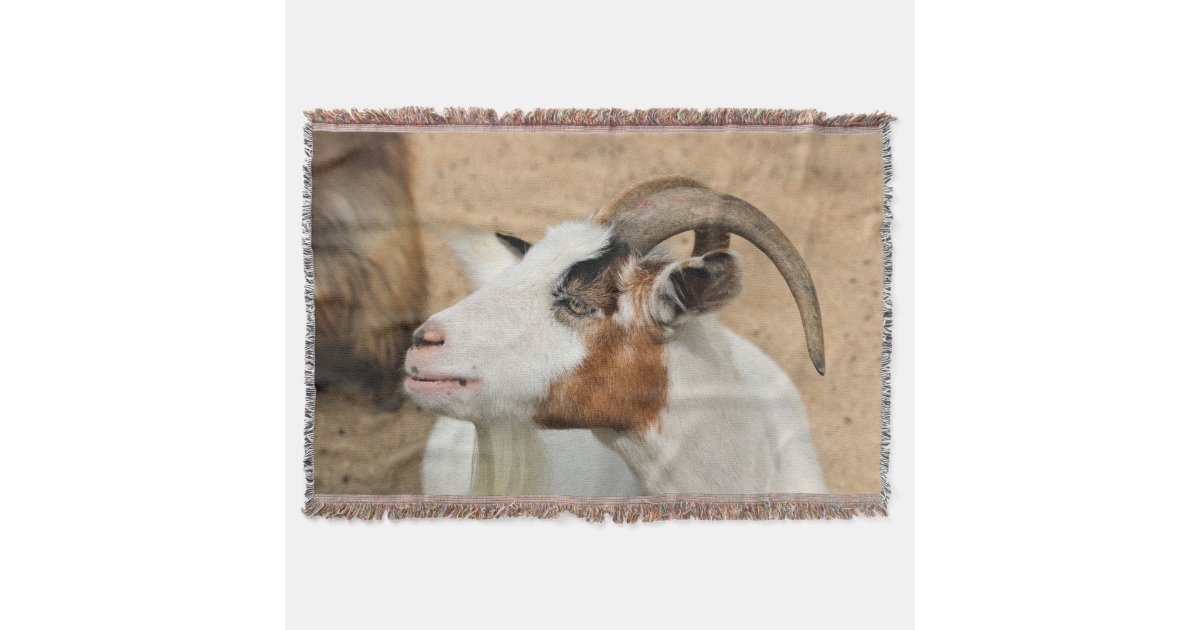 Calico goat throw blanket | Zazzle