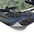California condors poster | Zazzle