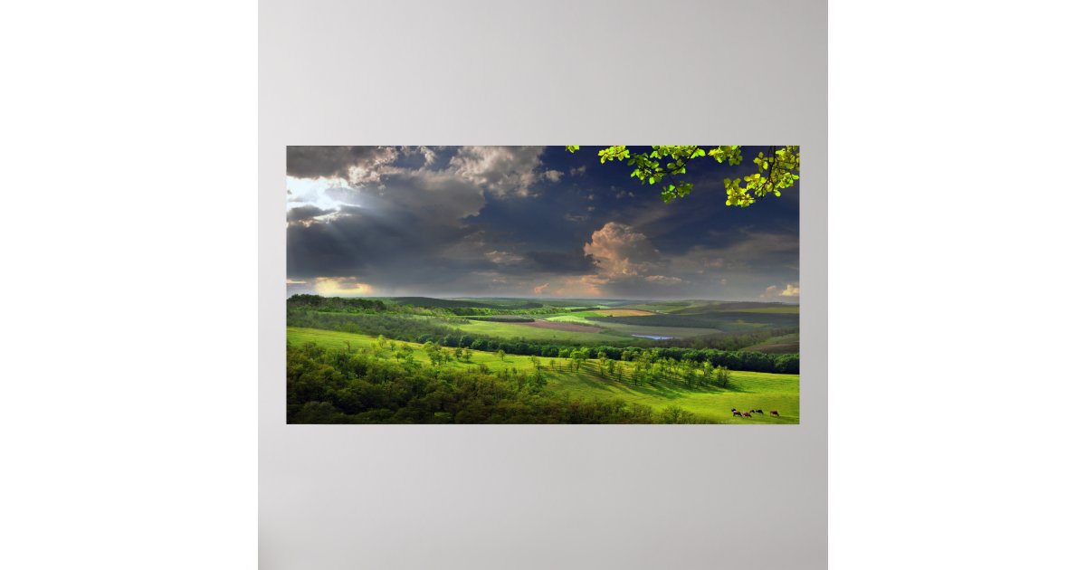 Calm Afternoon Poster | Zazzle