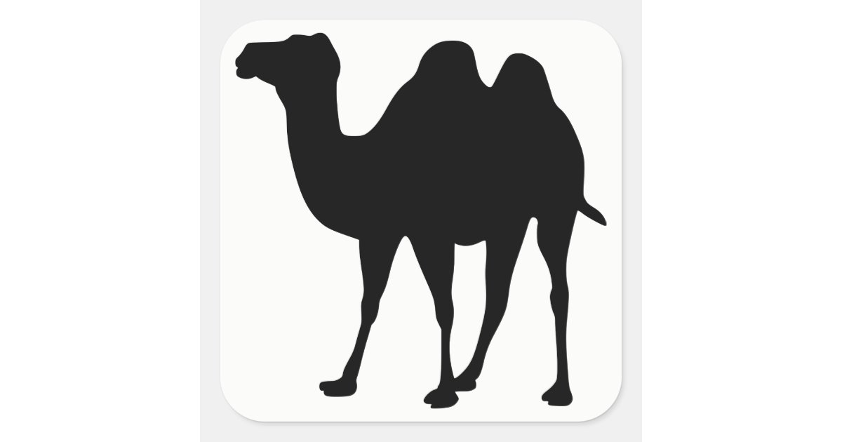 Camel Silhouette Square Sticker | Zazzle