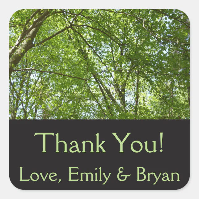 Canopy of Spring Leaves Green Nature Scene Square Sticker | Zazzle