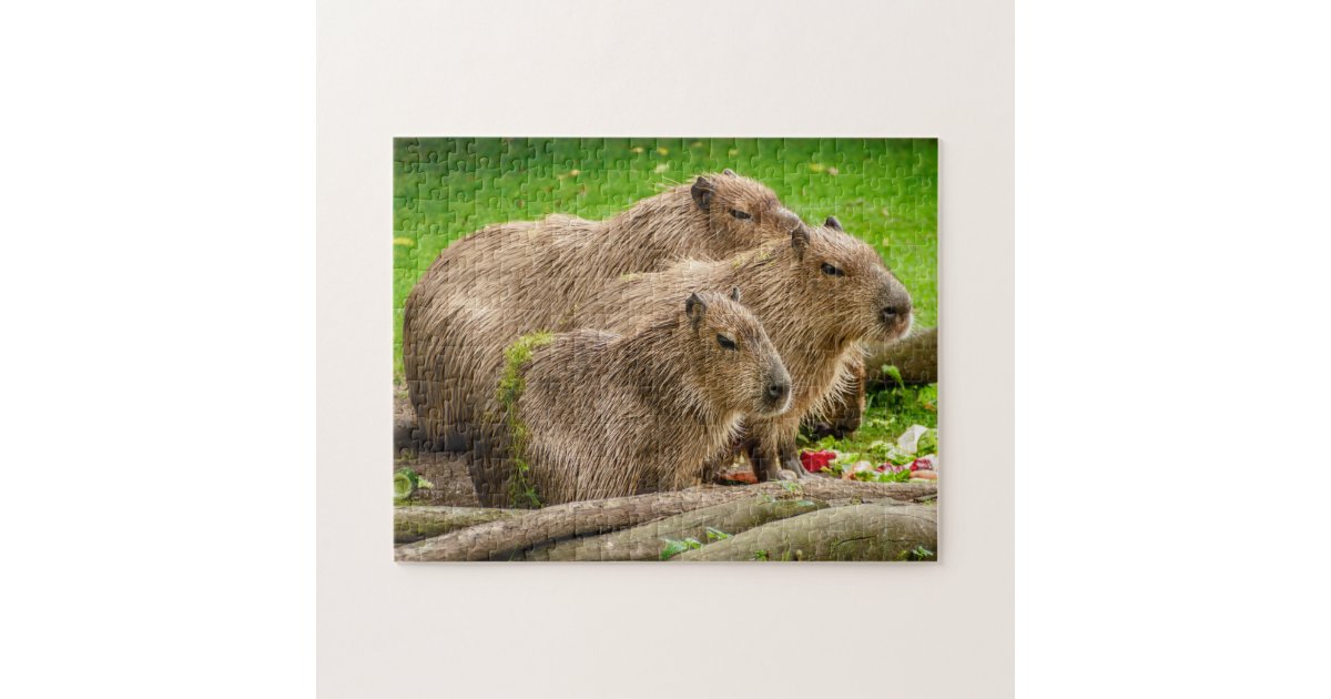 Capybara Family Jigsaw Puzzle | Zazzle