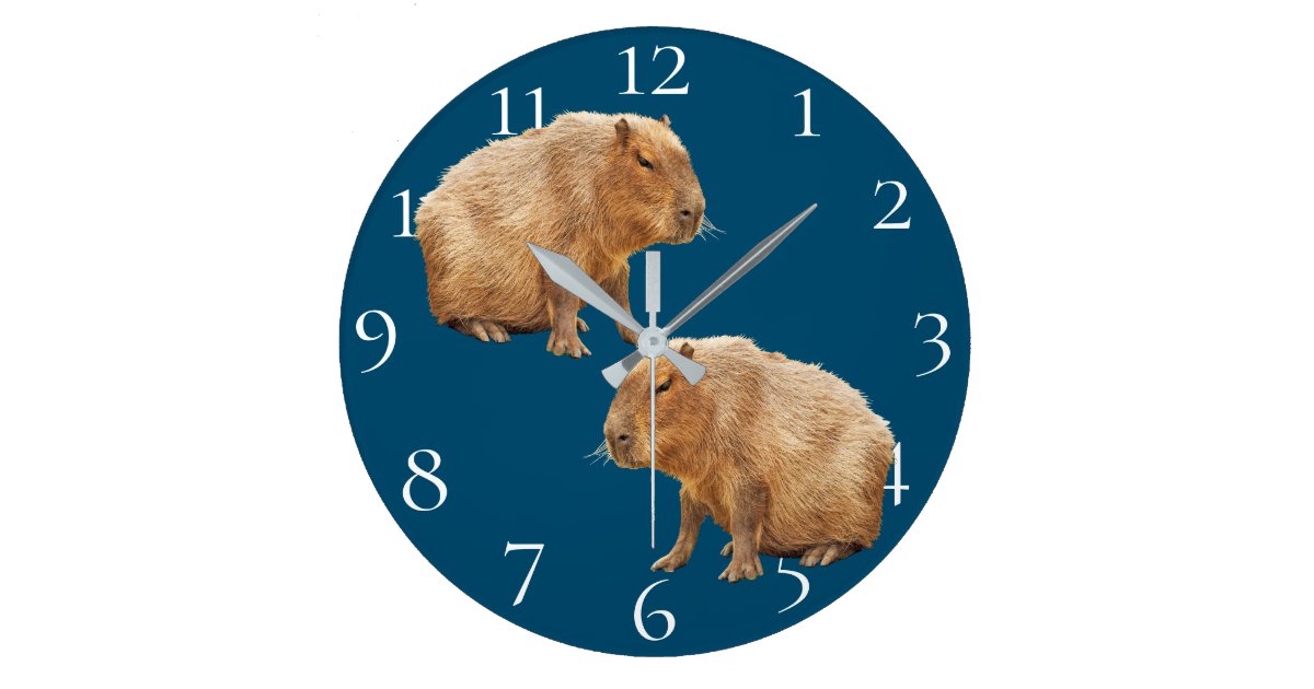 Capybara Large Clock | Zazzle.co.uk