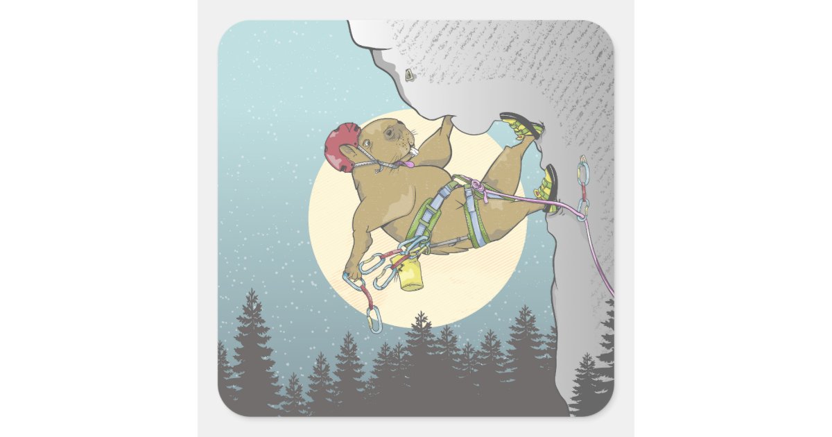 Capybara rock climbing square sticker | Zazzle