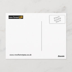 Cardiff Bay postcard | Zazzle
