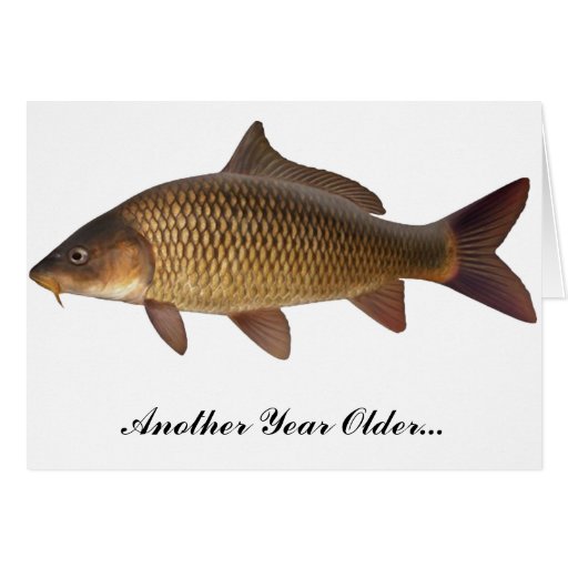 Carp Fishing Birthday Card | Zazzle