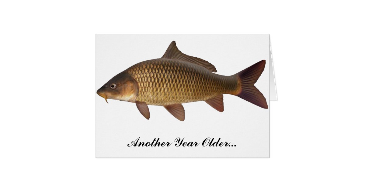 Carp Fishing Birthday Card | Zazzle
