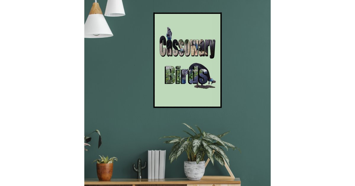 Cassowary Birds Picture Name, Poster | Zazzle