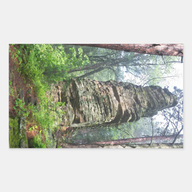 Castellated Mound in State Forest Rectangular Sticker | Zazzle