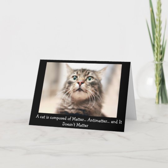 Cat Philosophy - Funny Greeting Card | Zazzle.co.uk