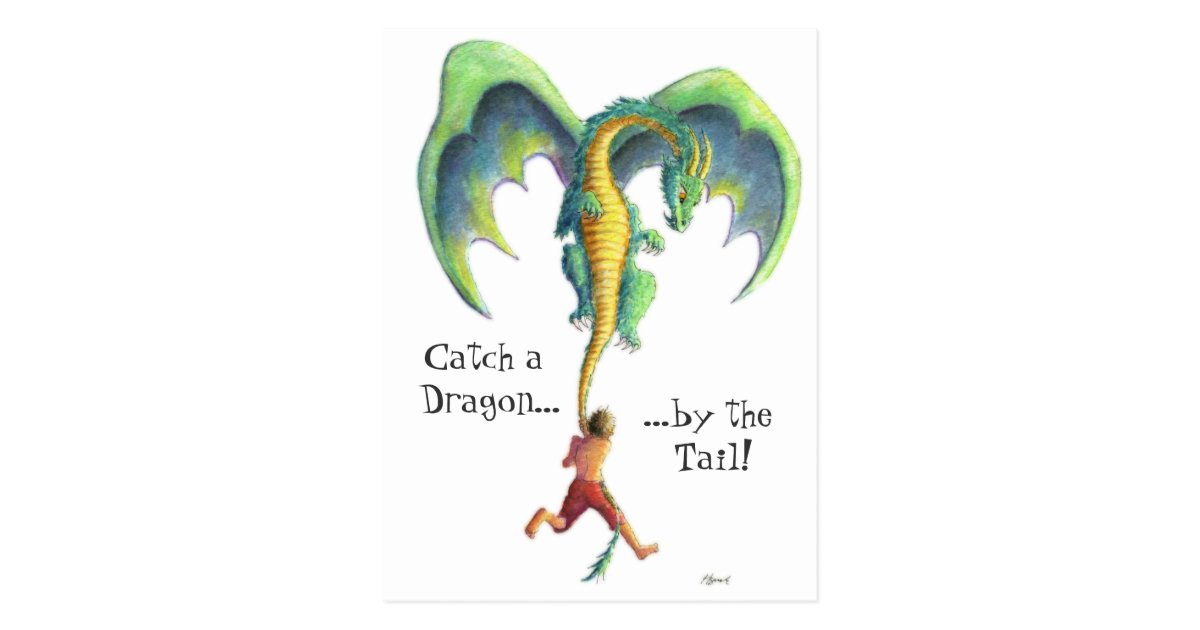 Catch a Dragon postcard | Zazzle.co.uk