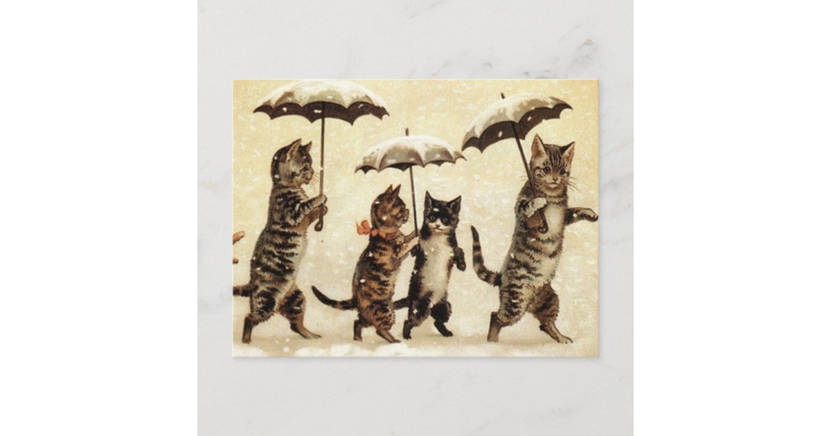 Cats parade postcard | Zazzle