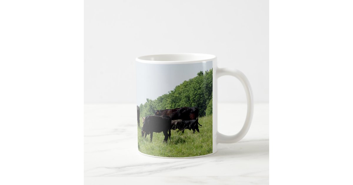 Cattle Black Angus Coffee Mug | Zazzle