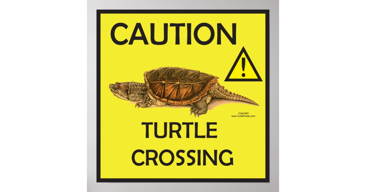 Caution Snapping Turtle Crossing Poster | Zazzle