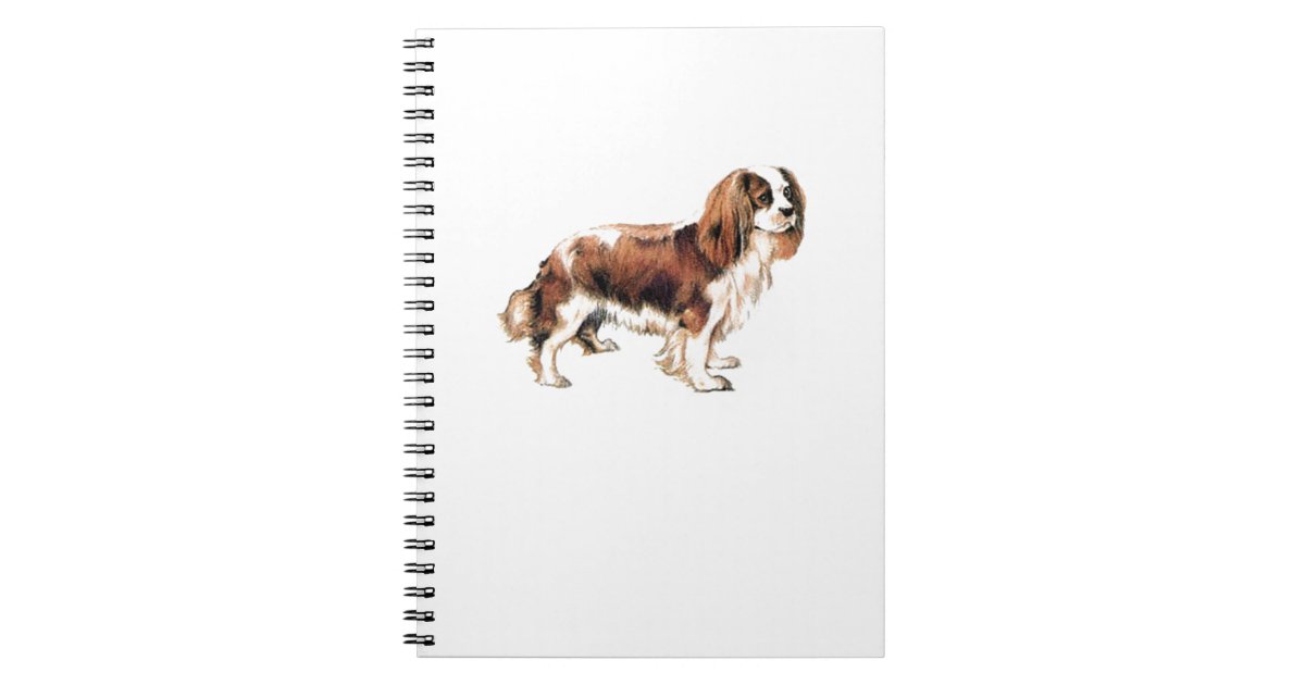 Cavalier King Charles Spaniel Notebook | Zazzle
