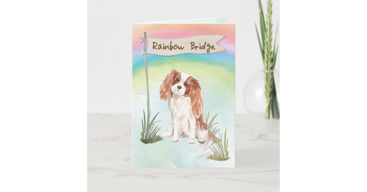 Cavalier King Charles Spaniel Pet Sympathy Card | Zazzle