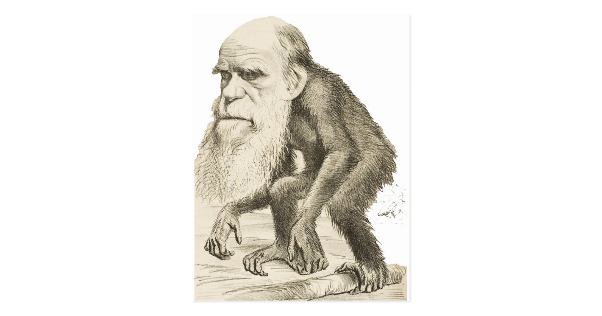Charles Darwin the Monkey Man Postcard | Zazzle.co.uk