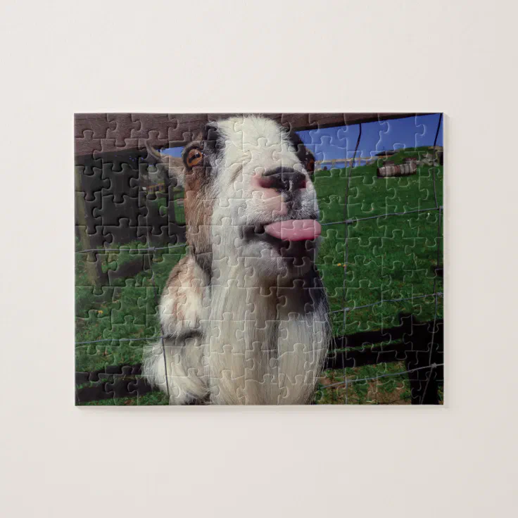 Cheeky Goat Novelty Jigsaw Puzzle | Zazzle
